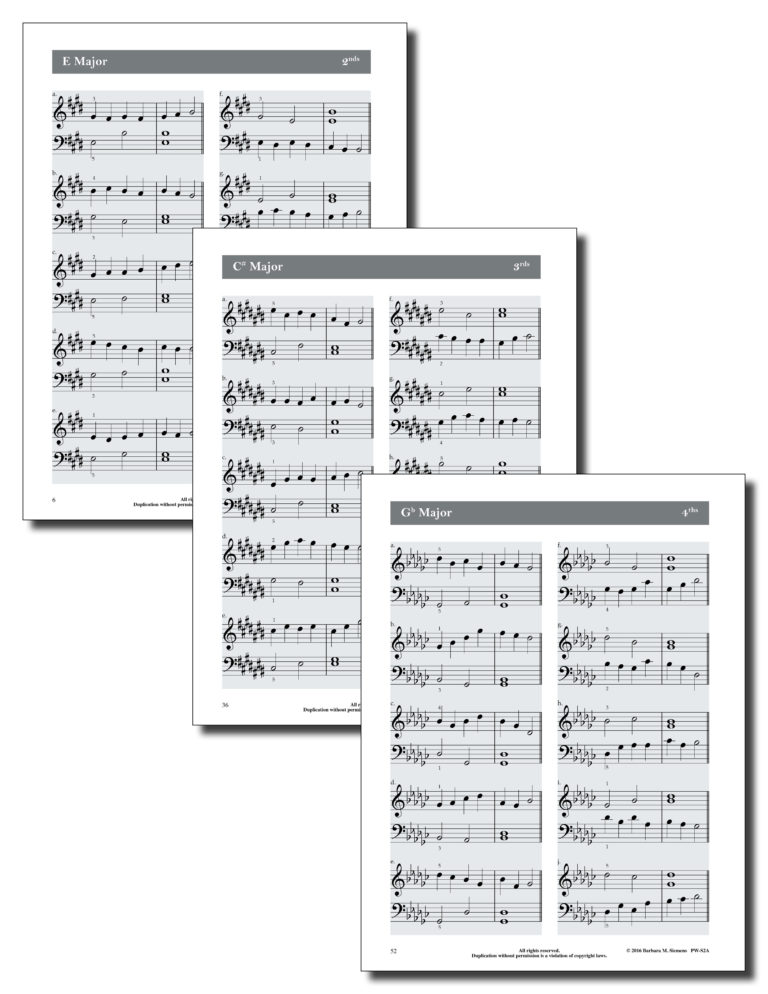 Level 2: The Sight Reading Drill Book – The Piano Workbook Series